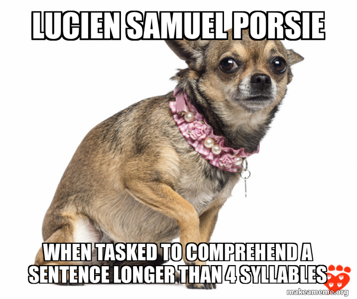 Lucien Samuel PORSIE When tasked to comprehend a sentence longer than 4 ...