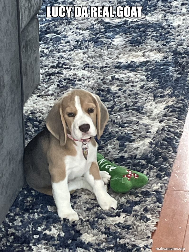 Lucy da real goat Meme Generator