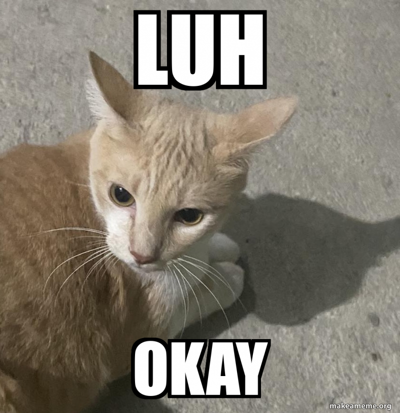 LUH OKAY Meme Generator