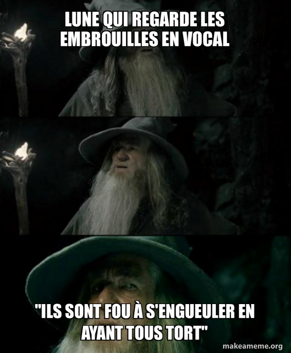 Lune qui regarde les embrouilles en vocal "ils sont fou à s'engueuler ...