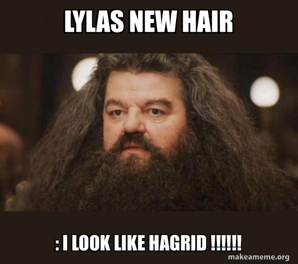 lylas new hair : i look like hagrid !!!!!! - Hagrid - I should not have ...