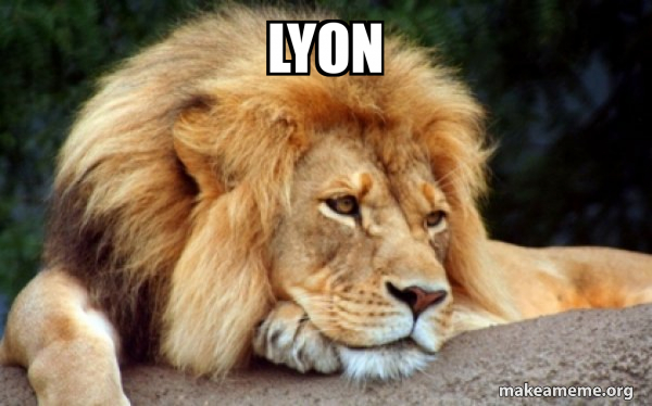 Lyon - Confession Lion Meme Generator