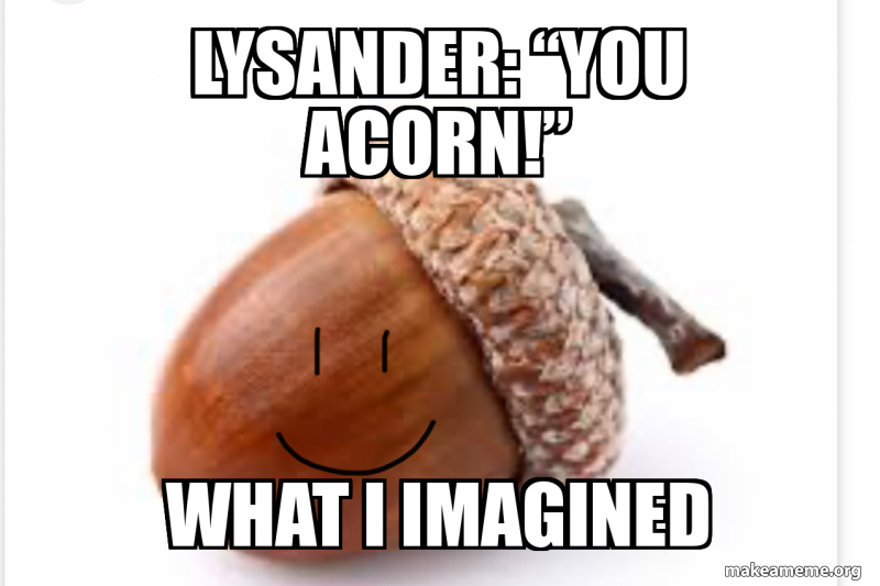 LYSANDER: “YOU ACORN!” WHAT I IMAGINED Meme Generator