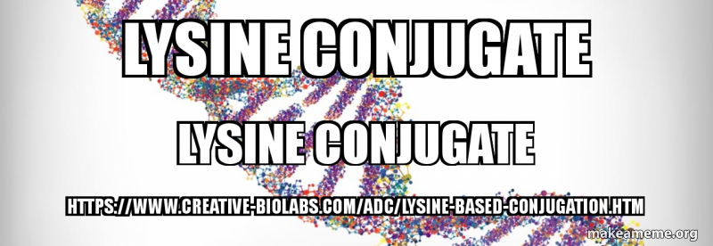 Lysine Conjugate Lysine Conjugate https://www.creative-biolabs.com/adc ...