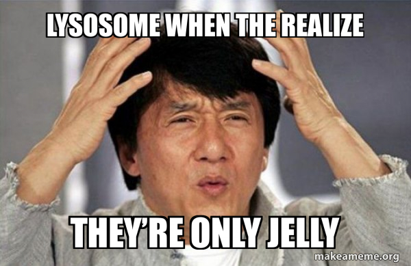 Lysosome when the realize They’re only jelly - Jackie Chan Why? Meme ...