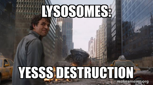 Lysosomes: yesss destruction - That's My Secret Meme Generator