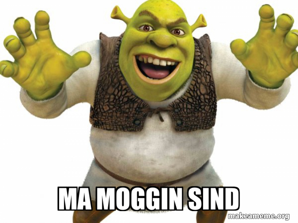 Ma moggin sind - Shrek Meme Generator
