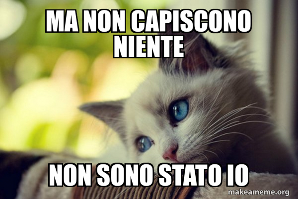 ma non capiscono niente non sono stato io - First World Cat Problems ...