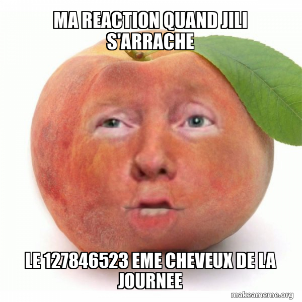 MA REACTION QUAND JILI S'ARRACHE LE 127846523 EME CHEVEUX DE LA JOURNEE ...