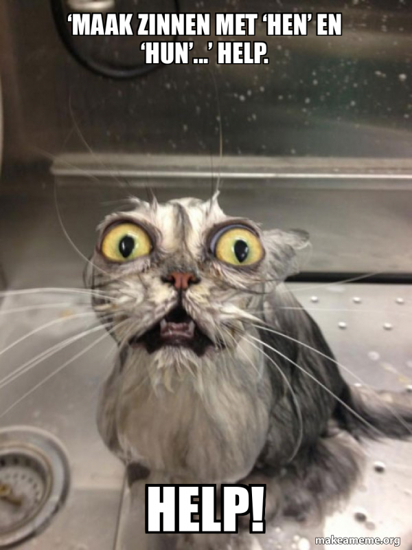 ‘Maak zinnen met ‘hen’ en ‘hun’...’ HELP. HELP! - Cat bath Meme Generator