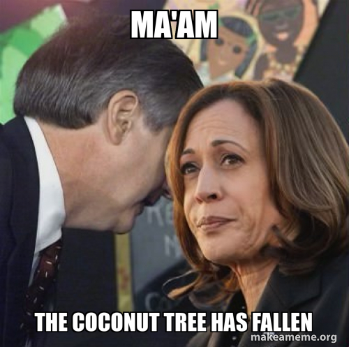 ma'am the coconut tree has fallen Meme Generator