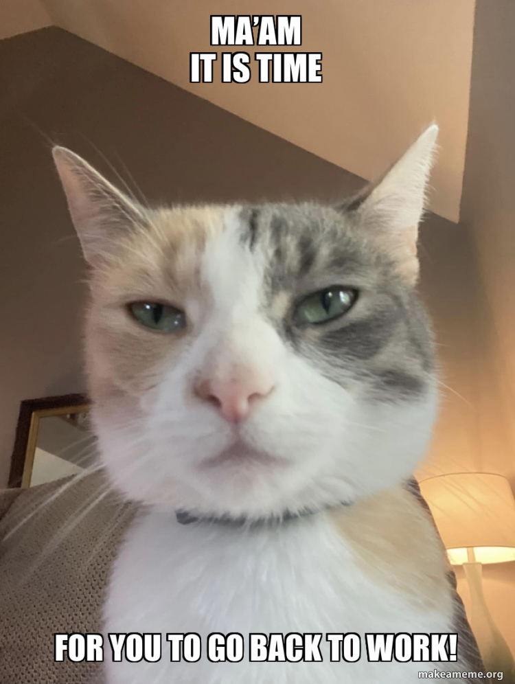 Ma’am It is time For you to go back to work! Meme Generator