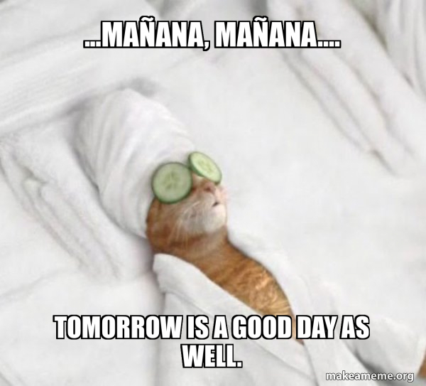 ...mañana, mañana.... Tomorrow is a good day as well. - Pampered Cat ...