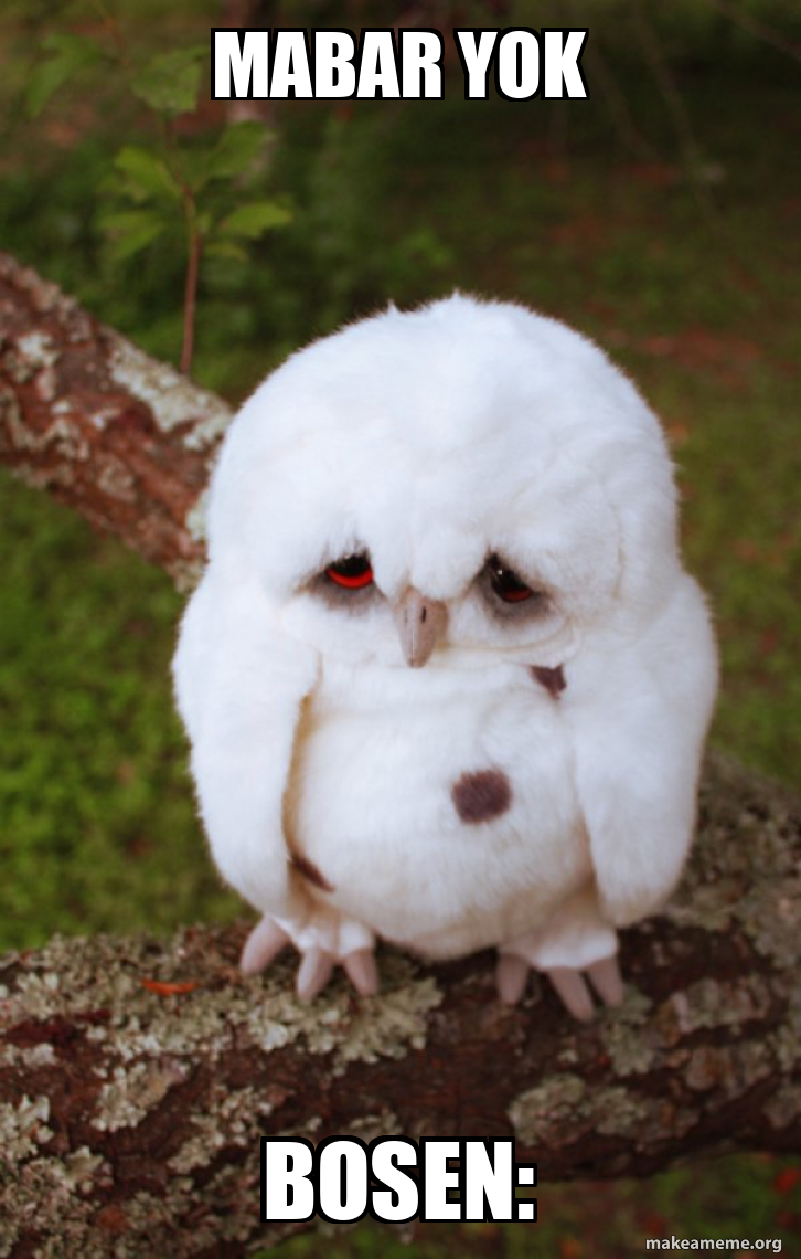 Mabar yok Bosen: - Sad Owl Meme Generator