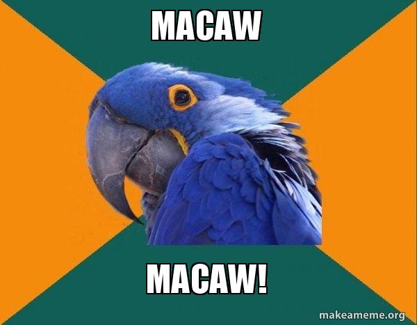 macaw macaw! - Paranoid Parrot Meme Generator