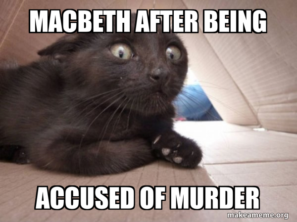 Macbeth after being accused of murder - Schitzo Cat Meme Generator