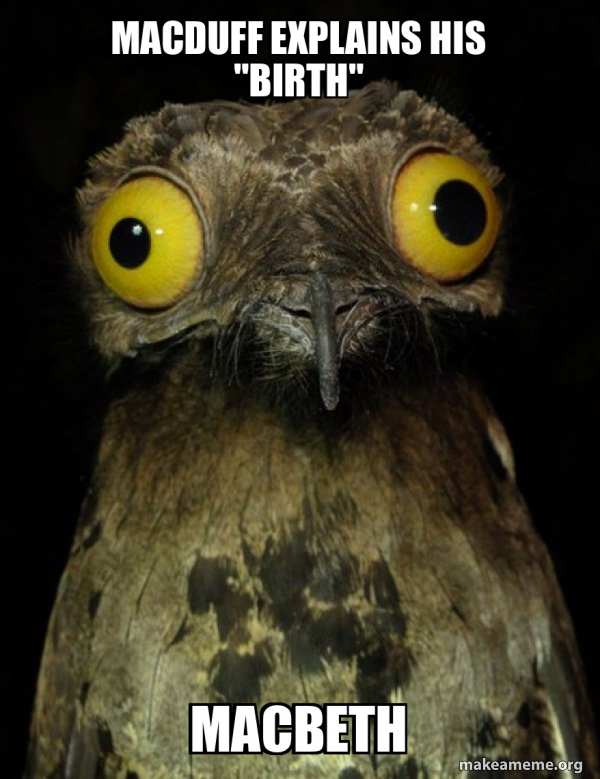 Macduff explains his "birth" Macbeth - Weird Stuff I do Potoo Meme ...