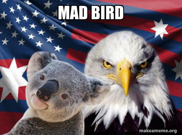 mad bird - Ameristralia Meme Generator