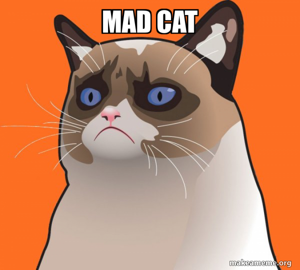 mad cat - Cartoon Grumpy Cat Meme Generator