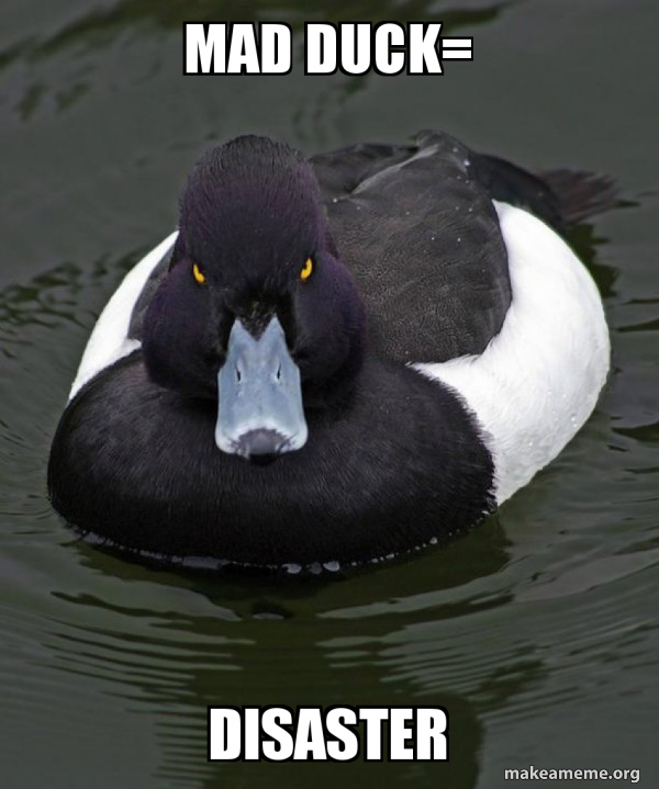 mad duck= disaster - Revenge Duck ( Angry Advice Duck ) Meme Generator