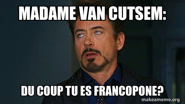 madame van Cutsem: du coup tu es francopone? - Tony Stark Eye Roll Meme ...