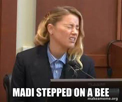 Madi stepped on a bee Meme Generator