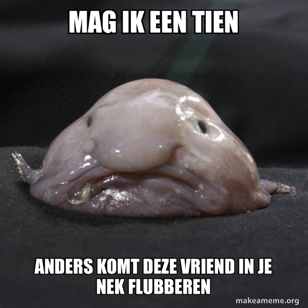 mAg Ik EeN tIeN anders komt deze vriend in je nek flubberen - Blobfish ...