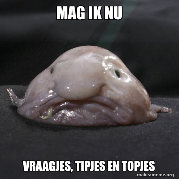 Mag ik nu vraagjes, tipjes en topjes - Blobfish Meme Generator