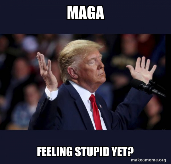 MAGA Feeling stupid yet? - Trump Impeached Meme Generator