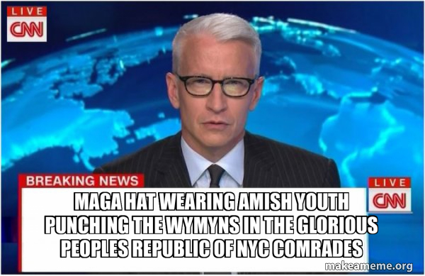 maga hat wearing amish youth punching the wymyns in the glorious ...