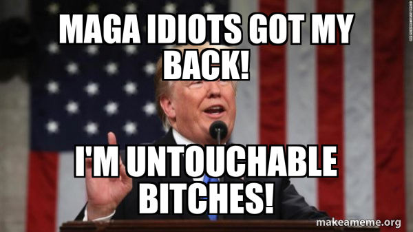MAGA idiots got my back! i'm untouchable bitches! - Donald Trump Meme ...