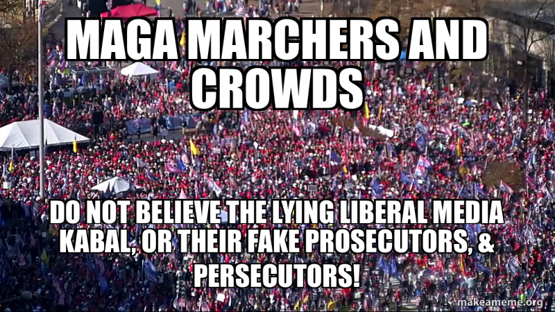 maga marchers and crowds do not believe the lying liberal media kabal ...