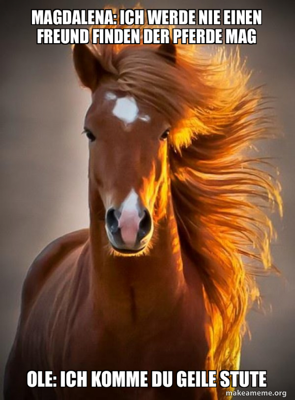 Magdalena: Ich werde nie einen Freund finden der Pferde mag Ole: Ich ...