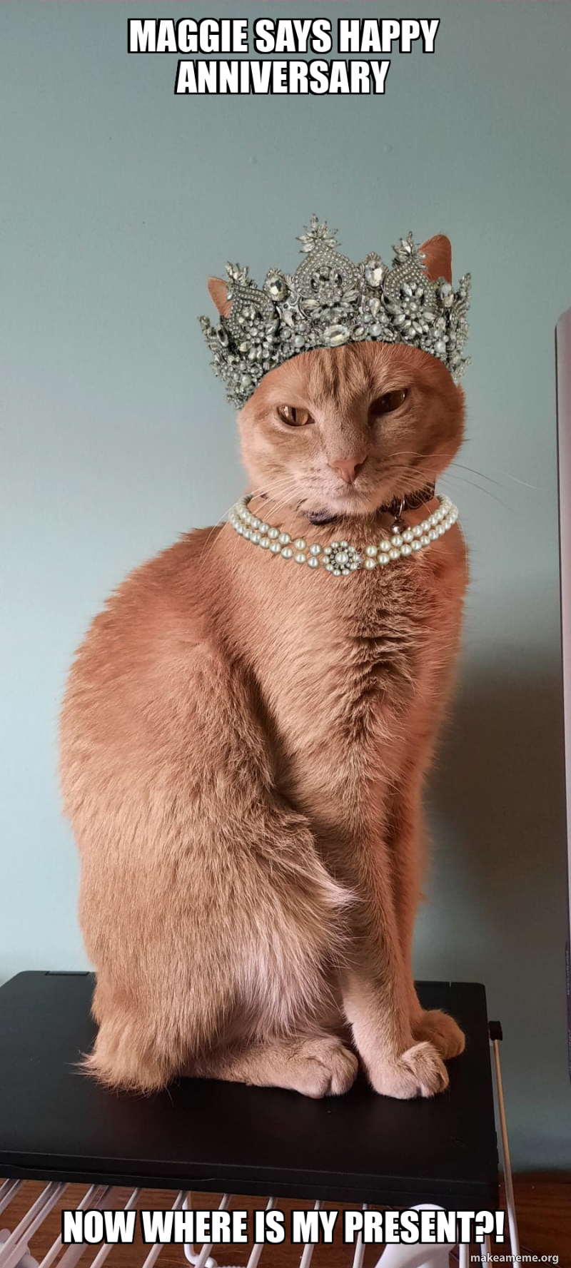 Maggie says happy Anniversary Now where is my present?! Meme Generator