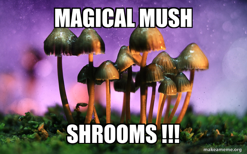 MAGICAL MUSH SHROOMS !!! Meme Generator