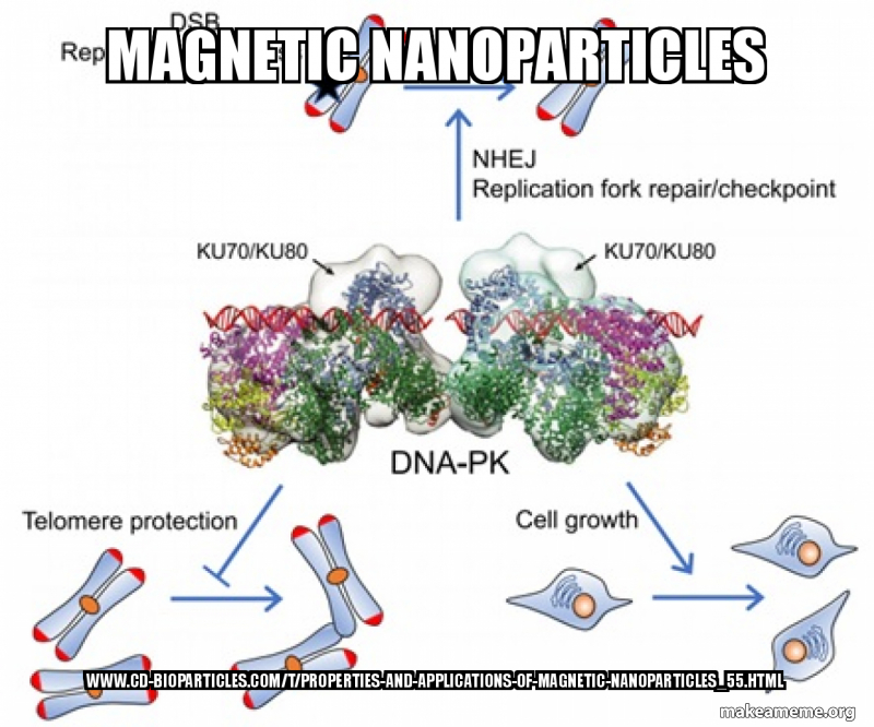 magnetic nanoparticles www.cd-bioparticles.com/t/Properties-and ...