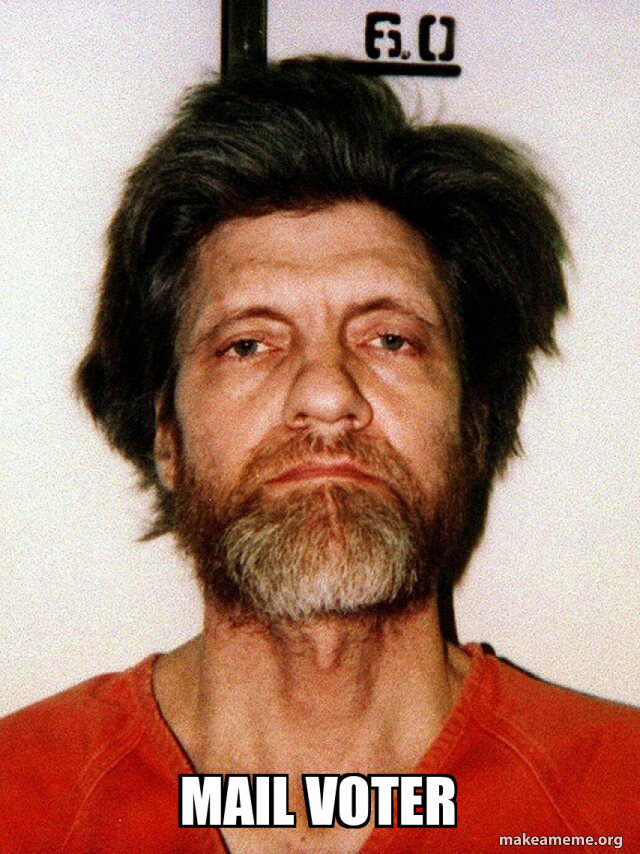 MAIL VOTER Meme Generator