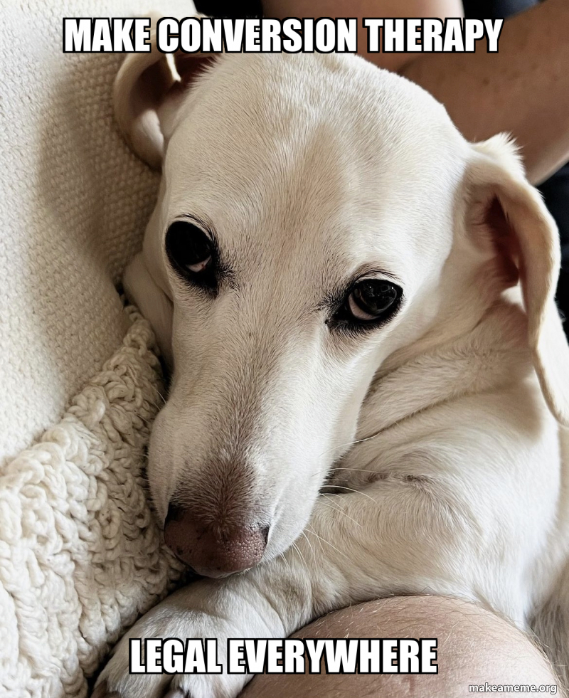 Make conversion therapy legal everywhere Meme Generator