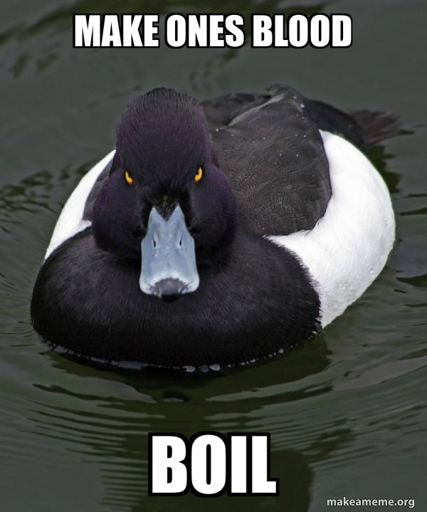 make ones blood boil - Revenge Duck ( Angry Advice Duck ) Meme Generator