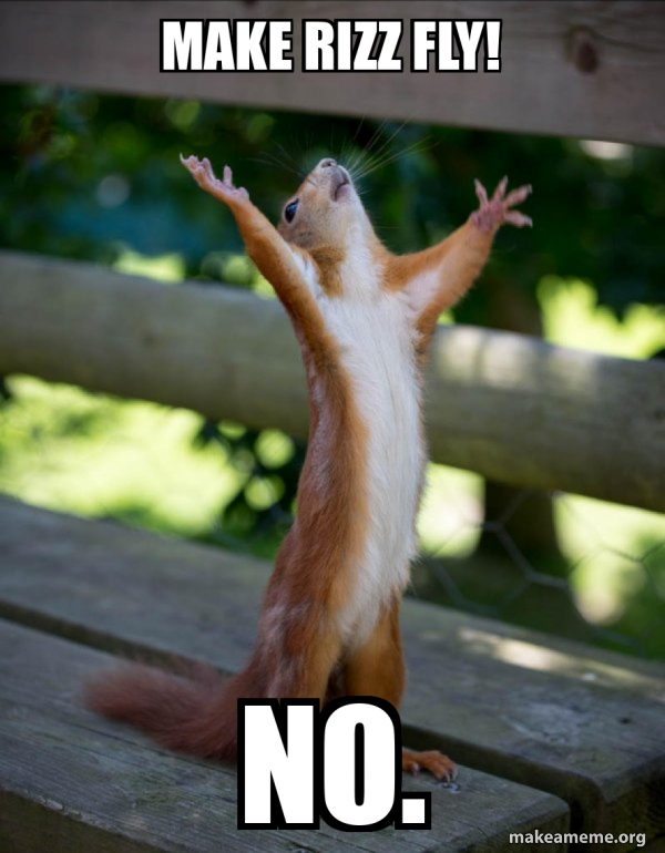 Make rizz fly! no. - Happy Squirrel Meme Generator