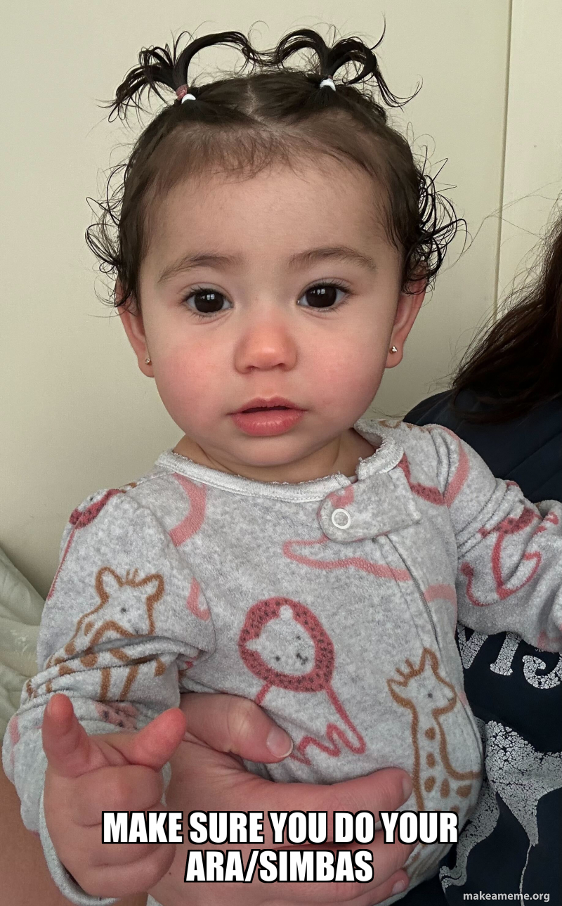 MAKE SURE YOU DO YOUR ARA/SIMBAS Meme Generator