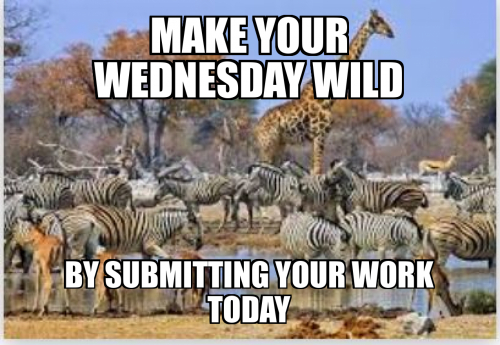 Make your Wednesday Wild By Submitting your Work Today Meme Generator