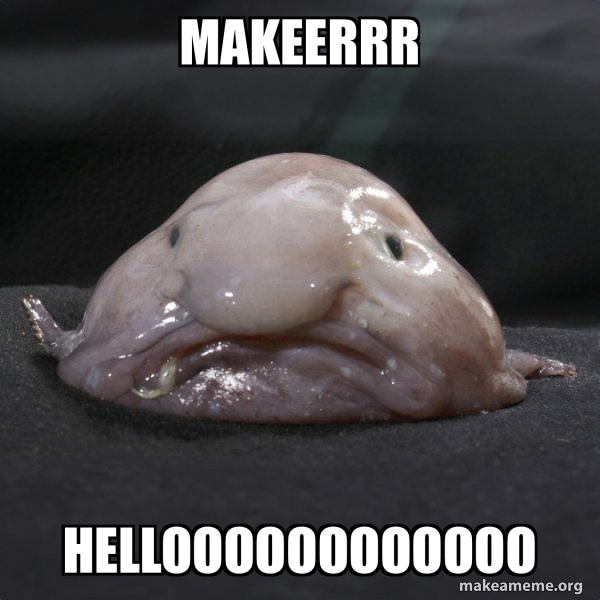 MAKEERRR HELLOOOOOOOOOOOO - Blobfish Meme Generator
