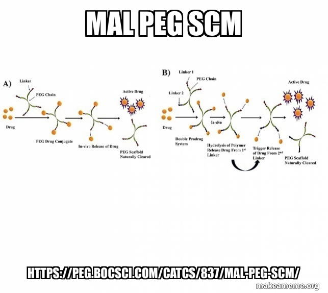 mal peg scm https://peg.bocsci.com/catcs/837/mal-peg-scm/ Meme Generator