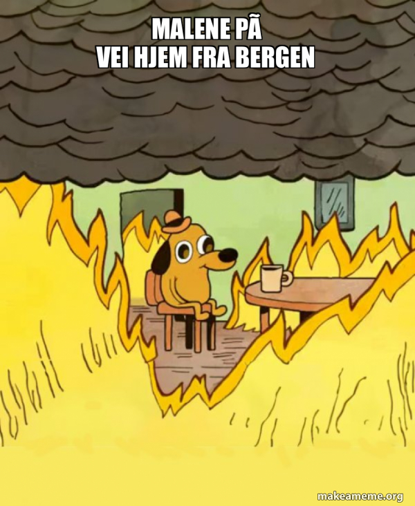 Malene på vei hjem fra bergen - This Is Fine Meme Generator
