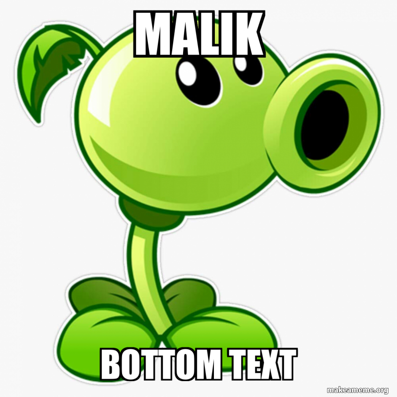 Malik Bottom text | Make a Meme