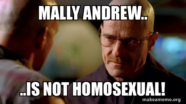 MALLY ANDREW.. ..IS NOT HOMOSEXUAL! - Breaking Bad Meme Generator