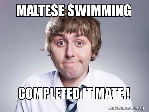 Maltese Swimming Completed It Mate ! Meme Generator