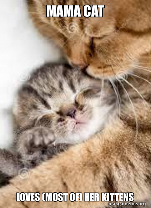 Mama cat Loves (most of) her kittens Meme Generator