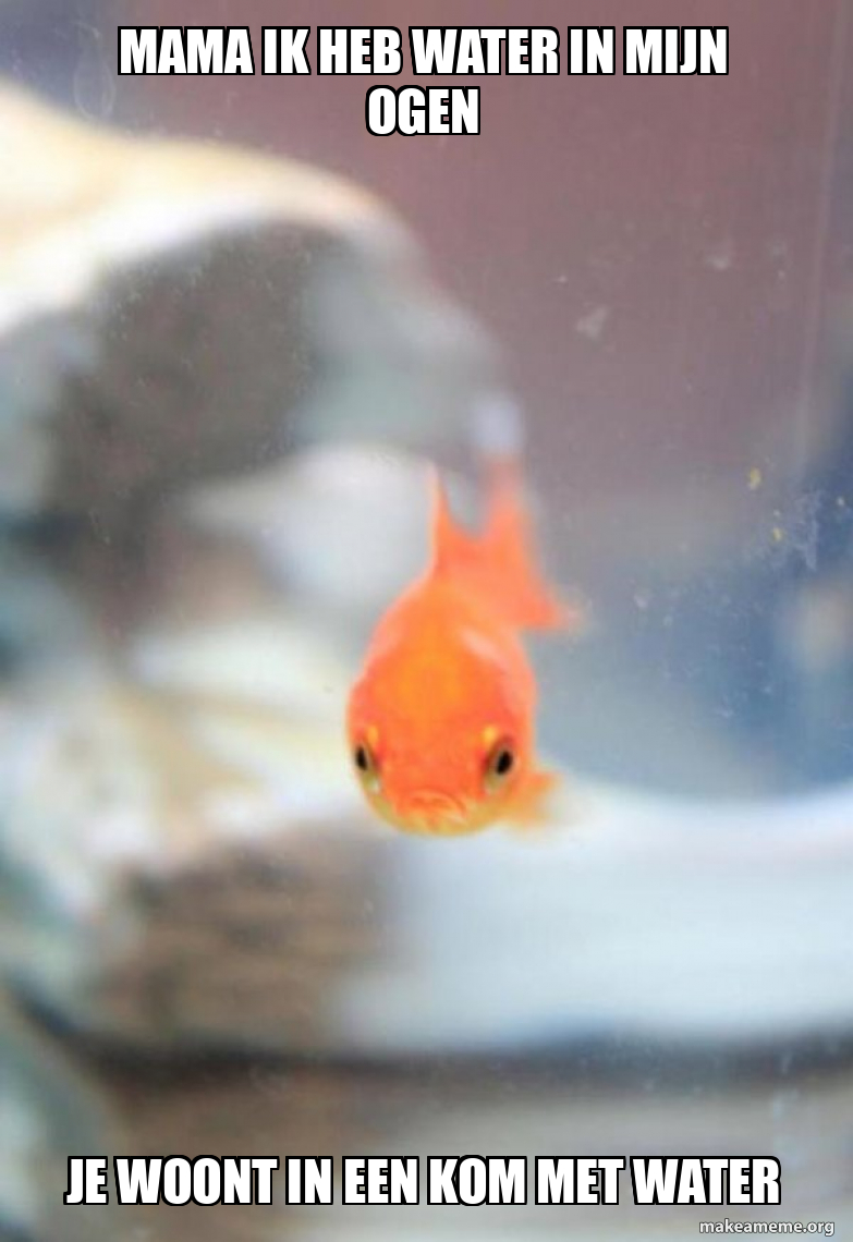 mama ik heb water in mijn ogen je woont in een kom met water - Grumpy ...